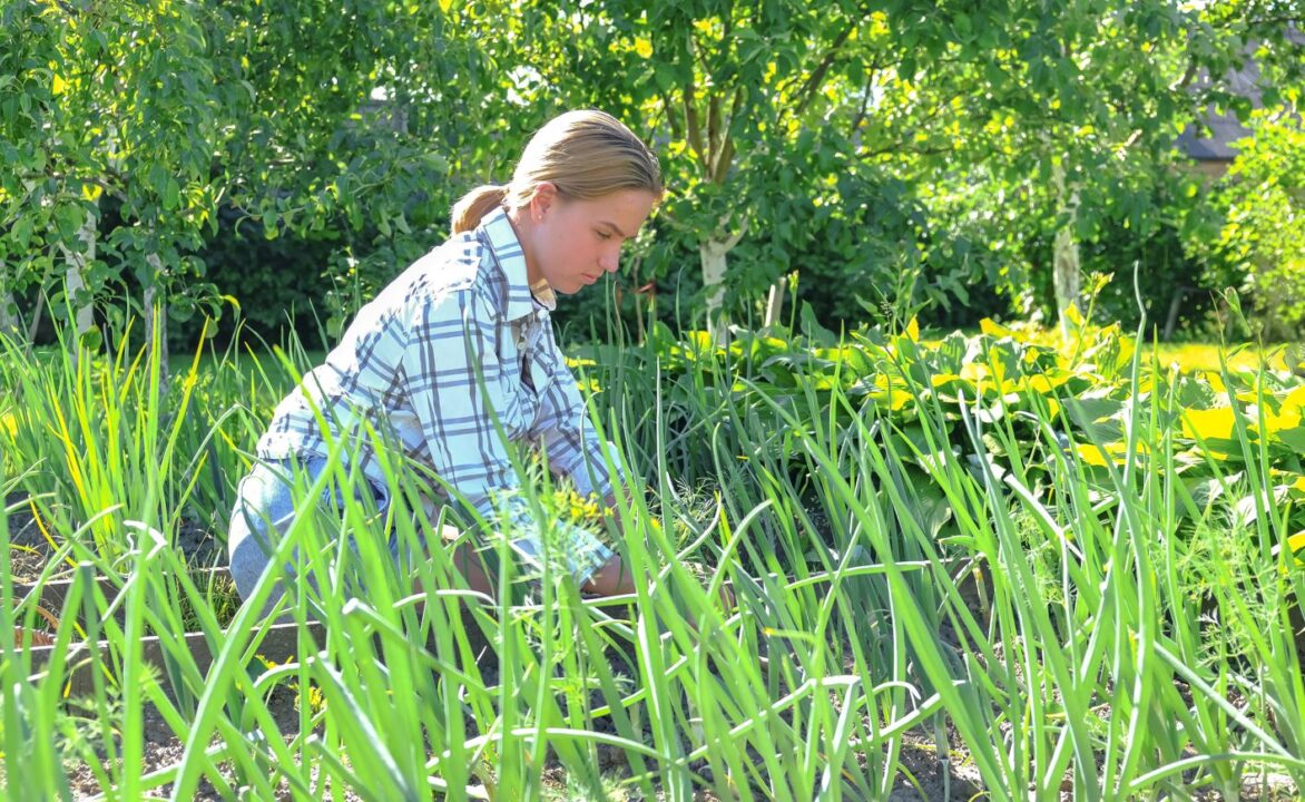 Paco Salcedo, nuevo presidente de Microsoft España